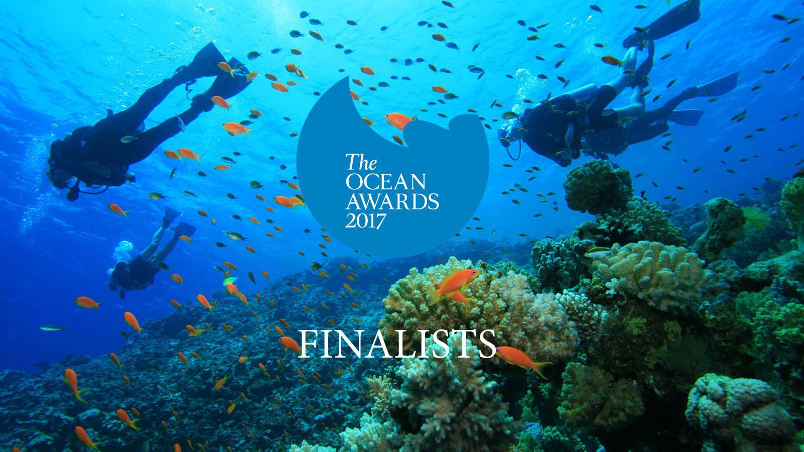 See the 17 finalists of The Ocean Awards 2017